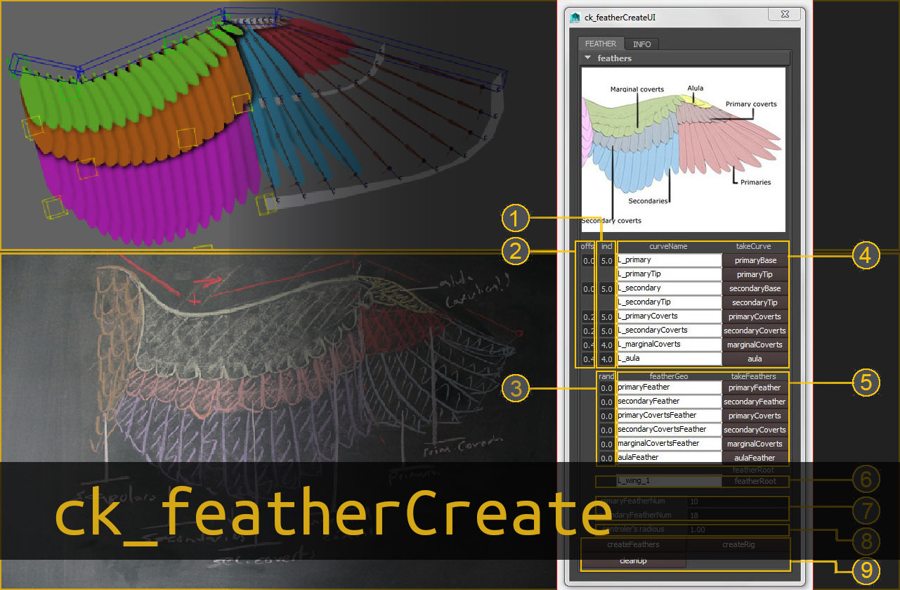 ck_featherCreate – Ceyhan Kapusuz